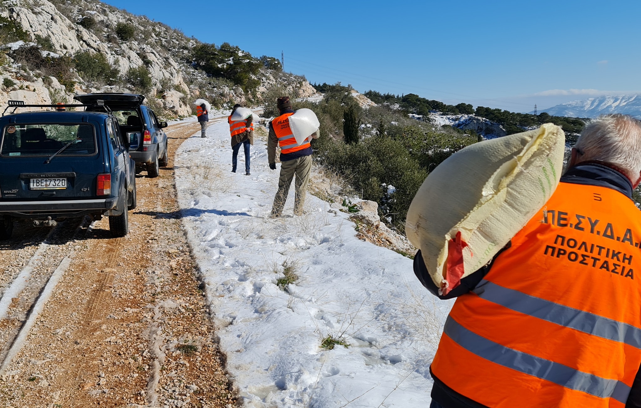 Κακοκαιρία «Ελπίδα»: Ρίχνουν τροφή στα ζώα του όρους Αιγάλεω - ertnews.gr