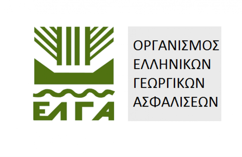 Δήμος Βισαλτίας: Δηλώσεις για δεύτερη εκτίμηση από τον ΕΛΓΑ - ertnews.gr
