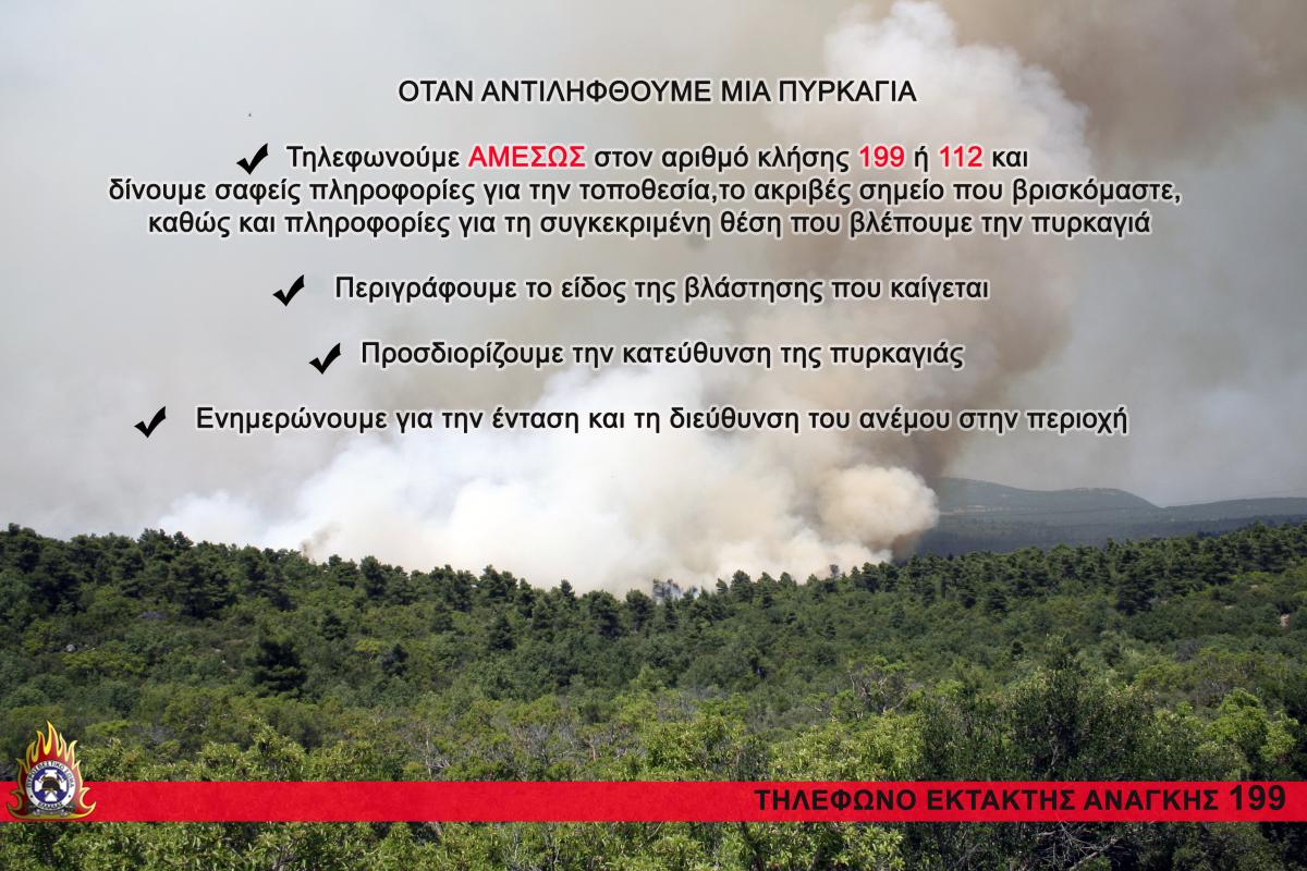 Κατοικίες και δασικές πυρκαγιές - Oδηγίες από την Πυροσβεστική - ertnews.gr