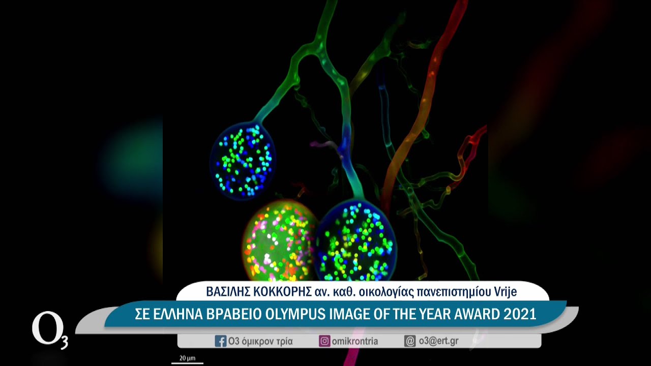 Σε Έλληνα ένα από τα βραβεία Olympus Image of the Year Award 2021 ...