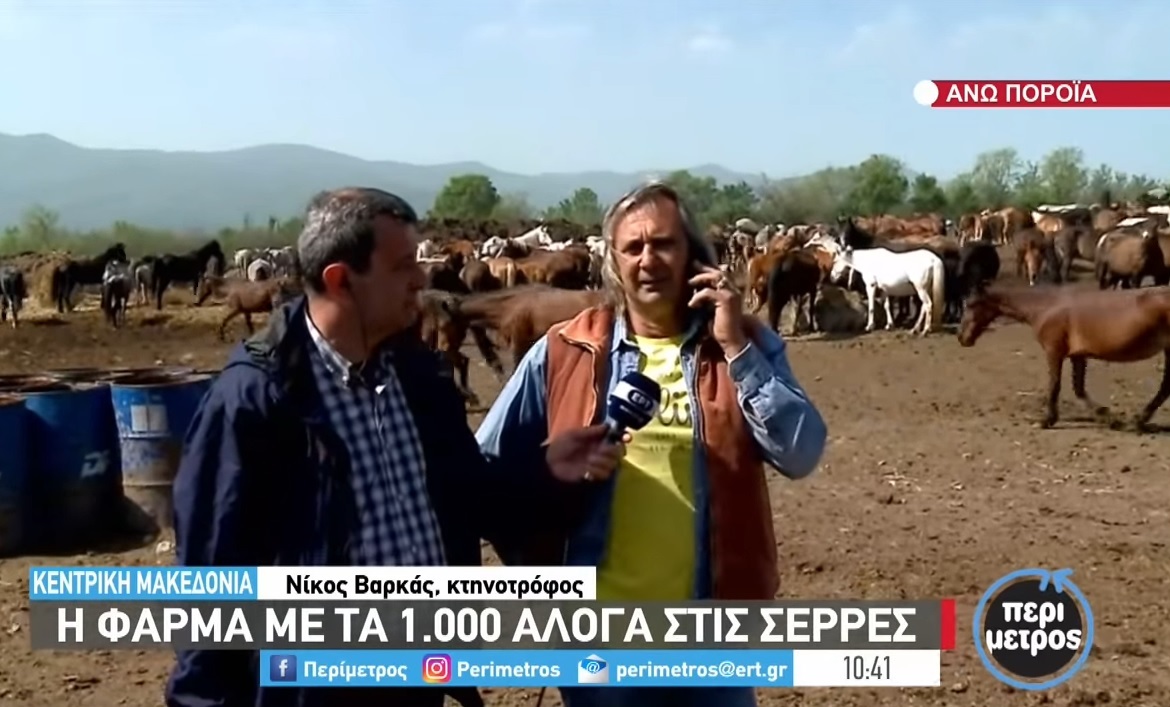 Άνω Πορόια: Η φάρμα με τα χίλια άλογα (βίντεο) - ertnews.gr
