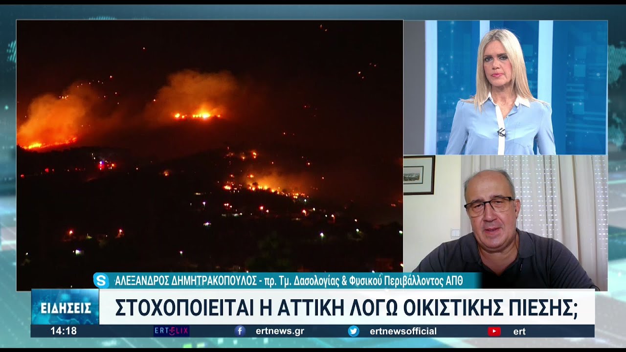 Αλ. Δημητρακόπουλος-Πρ.Τμ. Δασολογίας ΑΠΘ για φωτιές: Ιδιαίτερη ...