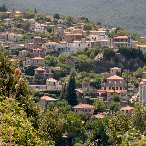 Θερμοκοιτίδα Επιχειρήσεων στη Βαμβακού Λακωνίας - ertnews.gr