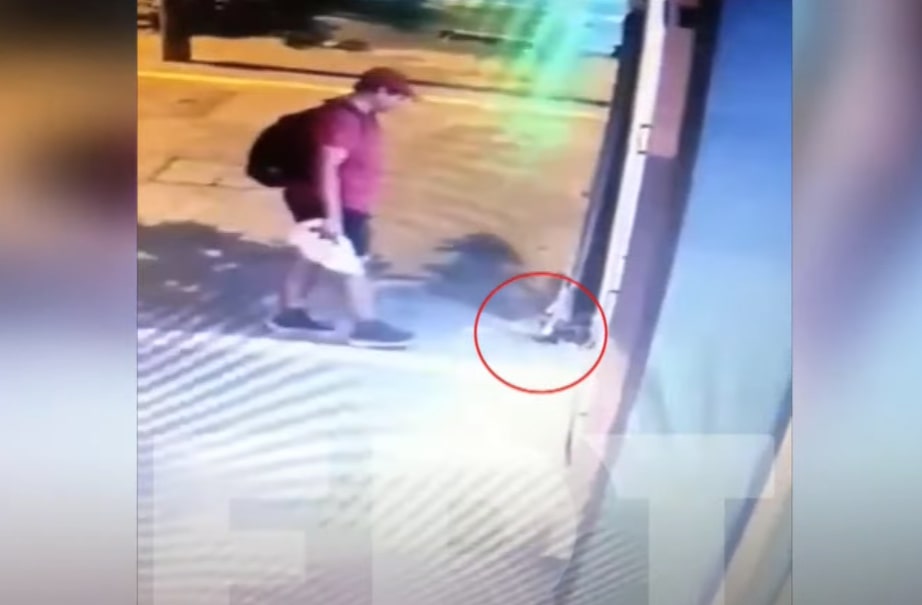 Διδάκτωρ στο ΑΠΘ ο άνδρας που πάτησε και σκότωσε το γατάκι στη ...