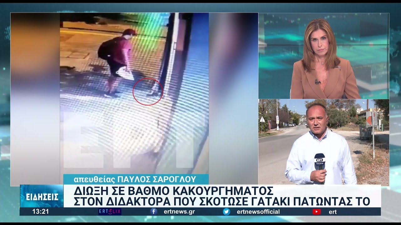 Θεσσαλονίκη: Δίωξη για κακούργημα στον καθηγητή του ΑΠΘ που ποδοπάτησε ...