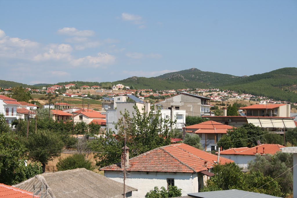 Ροδόπη- Σ.Κουκουζέλη: Η φυγή των ντόπιων το μεγάλο πρόβλημα των Σαπών ...