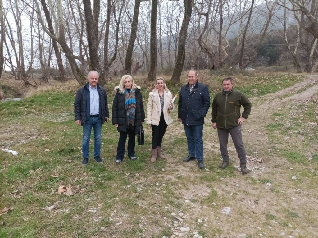 Μεταχρωματικό έλκος στα πλατάνια της Κοιλάδας των Τεμπών - larissanet.gr