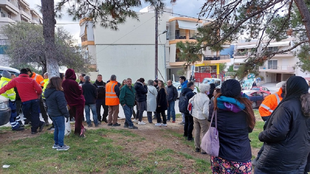 Ηράκλειο: Προσωρινό "φρένο" στην κοπή 68 πεύκων έβαλαν πολίτες ...