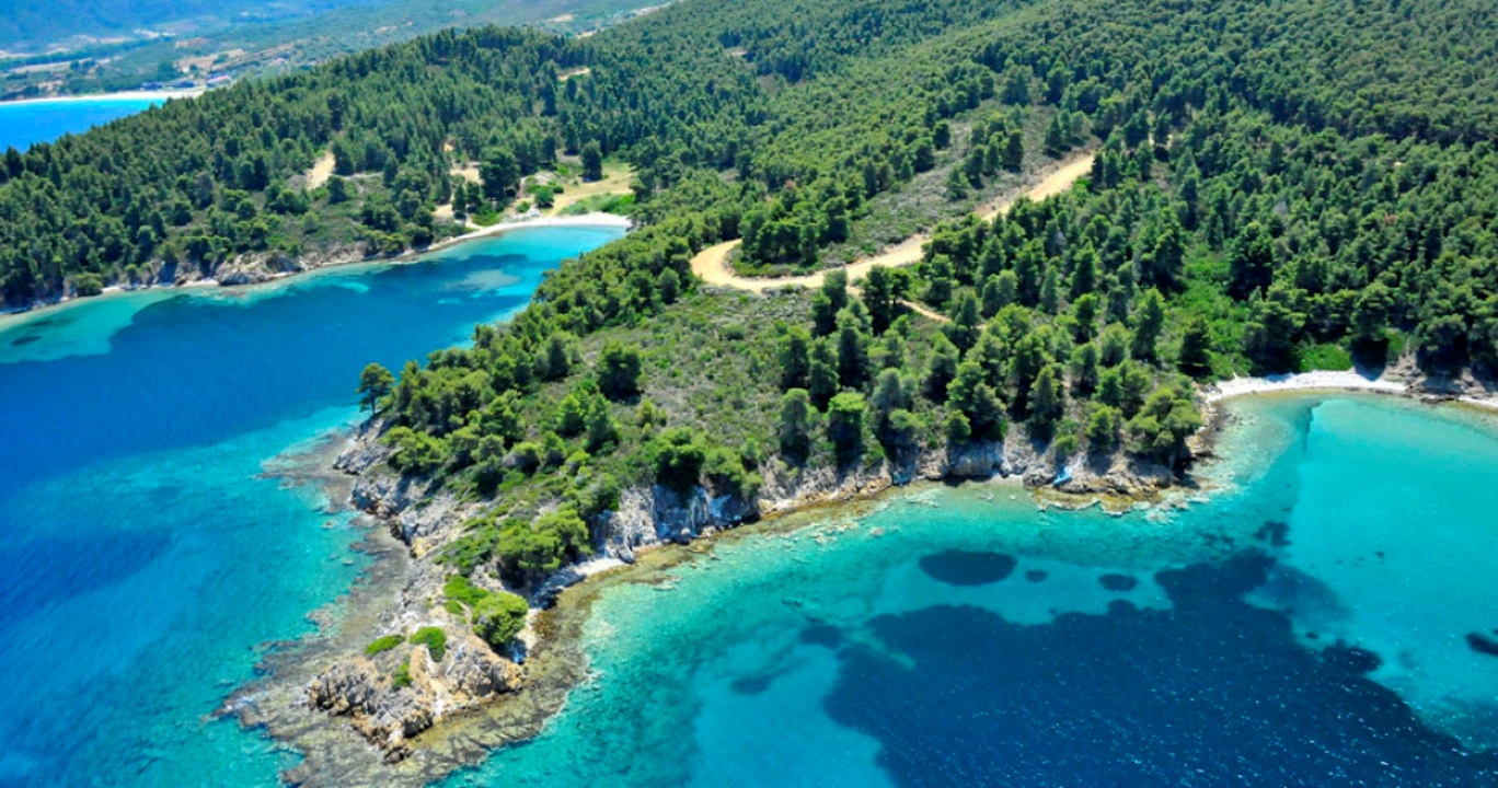 Έφτασαν στην Χαλκιδική οι πρώτοι τουρίστες από την Αυστρία - ertnews.gr