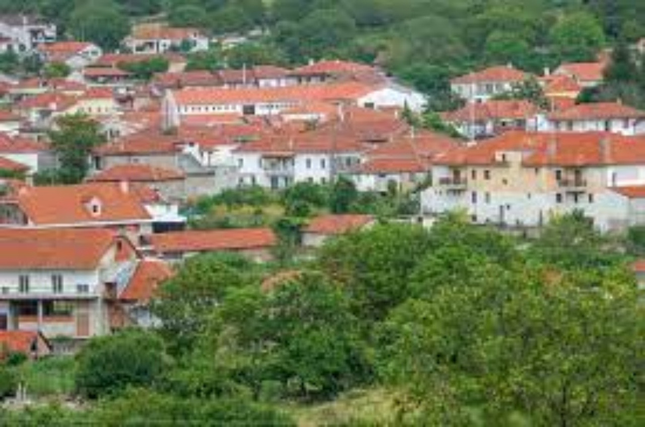 Μουσικές εβδομάδες στον Βώλακα - Καινοτομίες στο 2ο φεστιβάλ «VOLAX ...