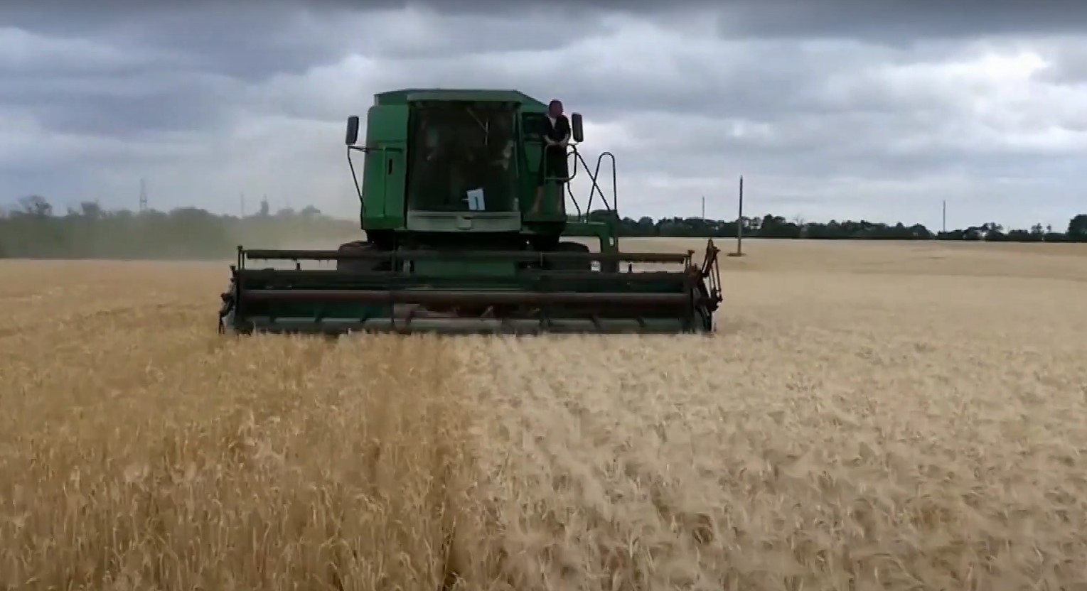 Δύσκολο αναμένεται το φετινό αλώνι για τους σιτοπαραγωγούς-Υπό πίεση οι ...