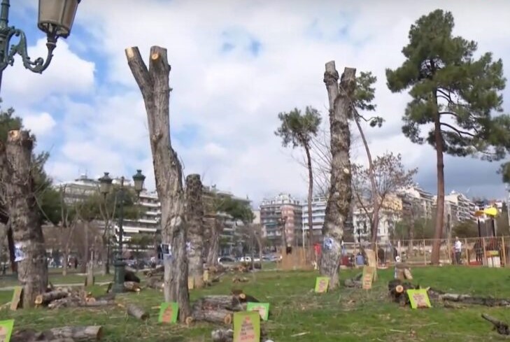 Θεσσαλονίκη: Αφαιρούν δέντρα που φυτεύονται σε κεντρικές οδούς - ertnews.gr