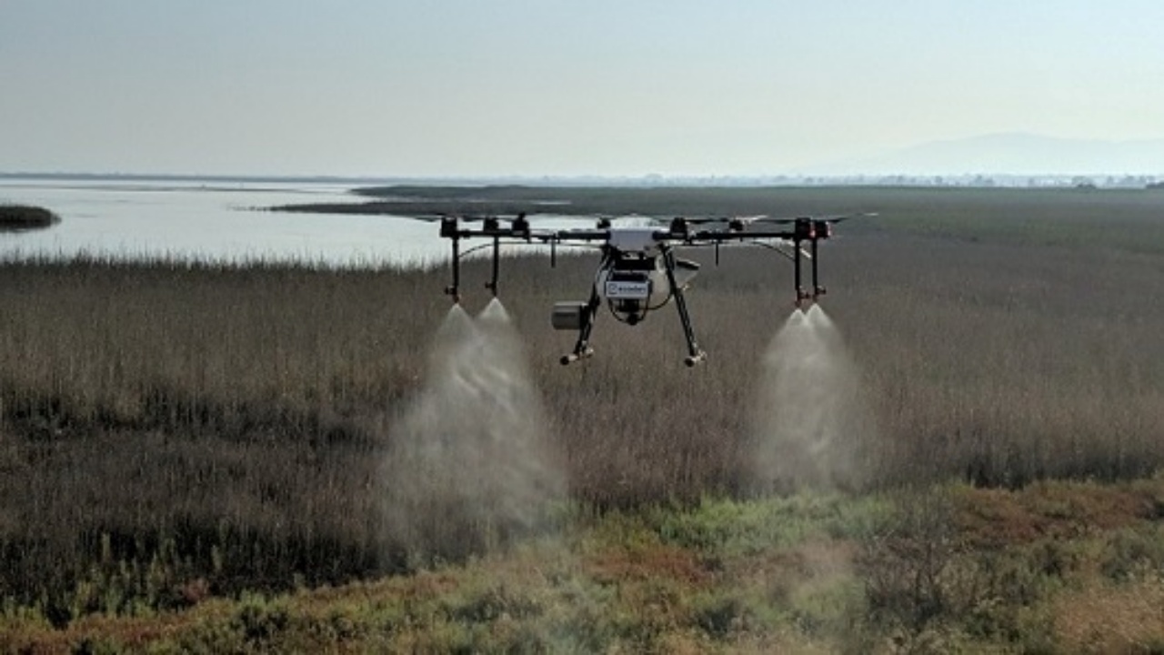 Τυχερό: Χρήση drone για αεροψεκασμούς και διπλασιασμός ψεκασμών για την ...
