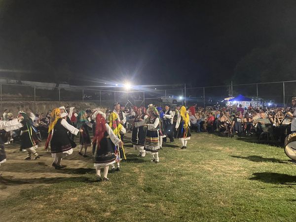 Σέρρες: Η 3η γιορτή κτηνοτροφίας στον Ελαιώνα - ertnews.gr