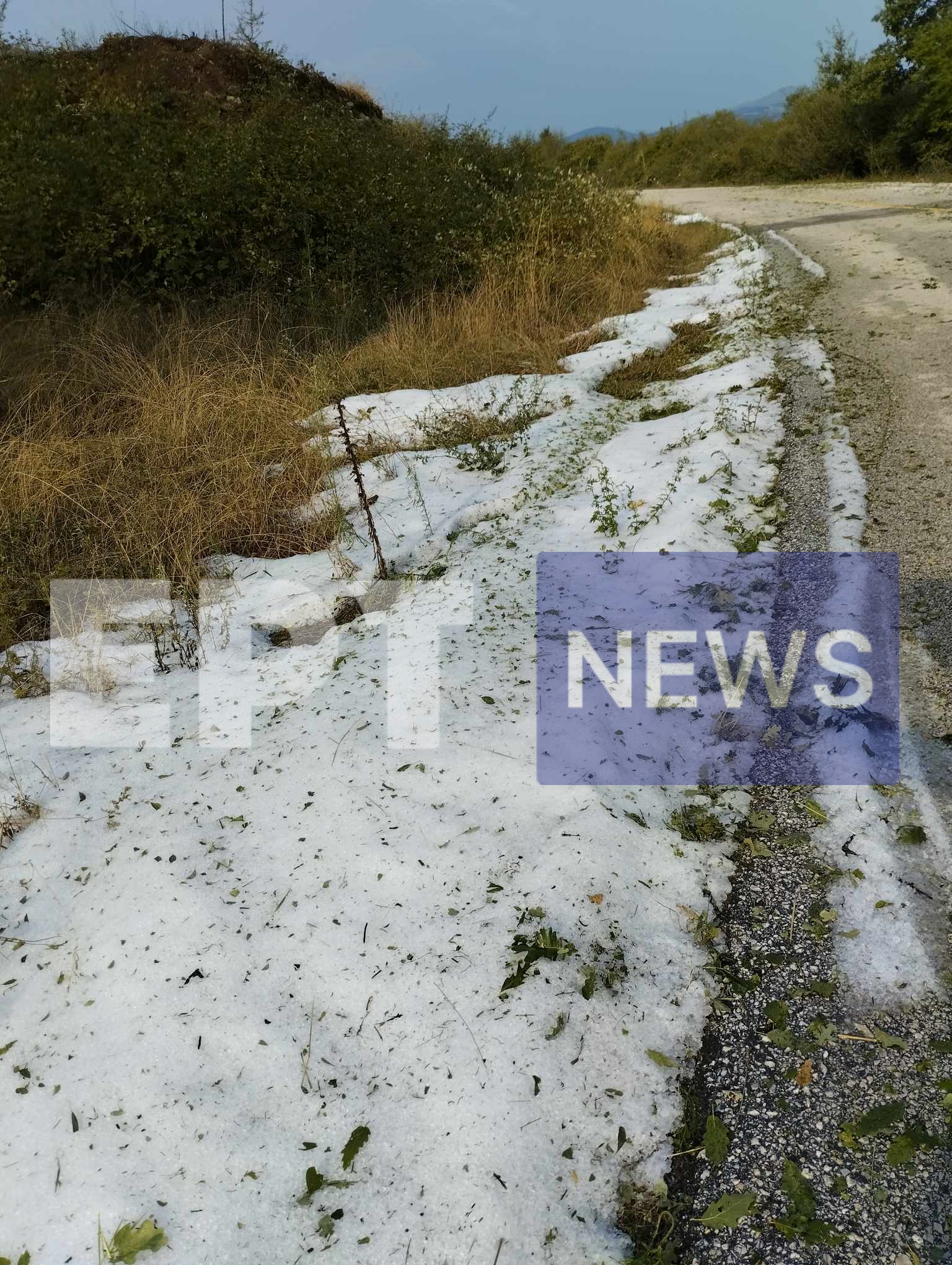 Καστοριά: Ολική καταστροφή στις καλλιέργειες φασολιών προκάλεσε έντονη ...