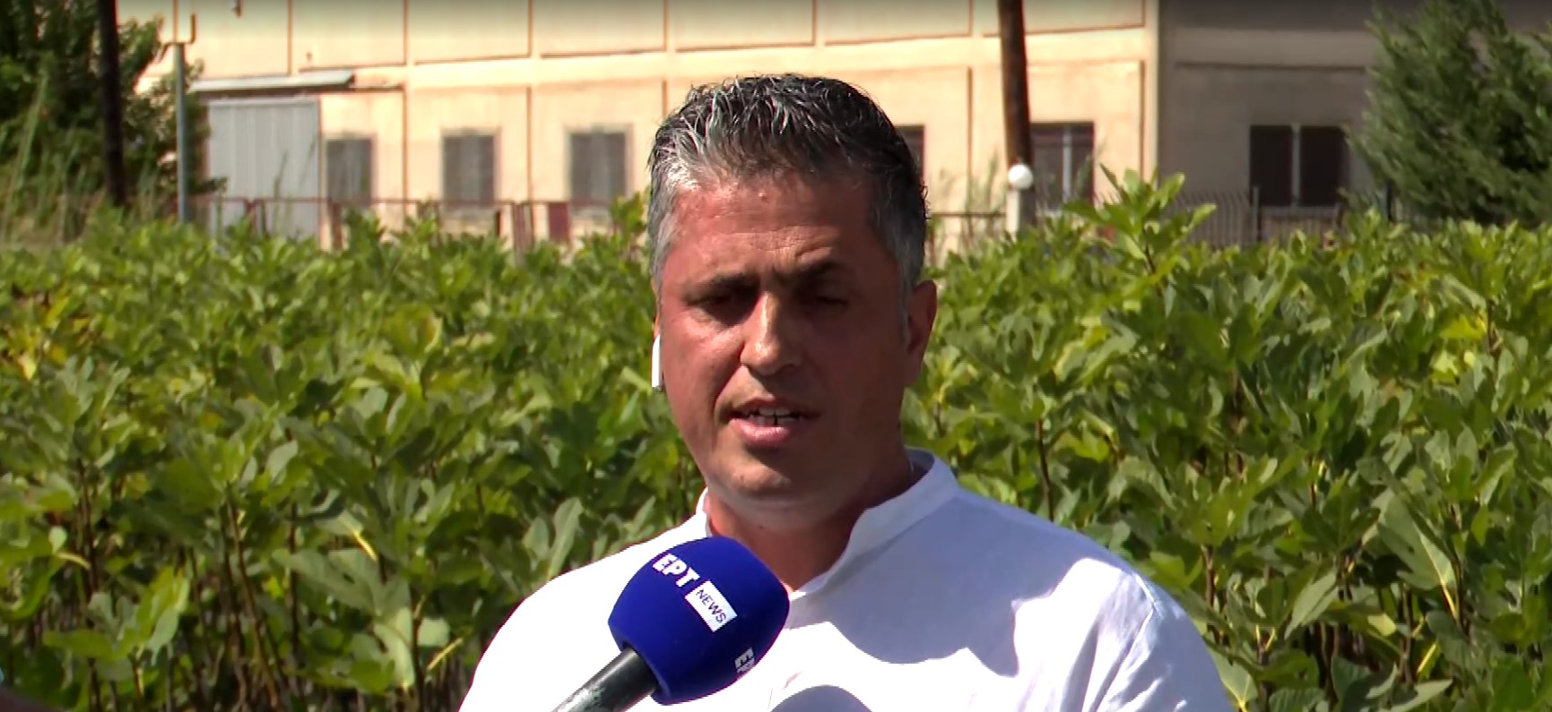 Καλαμάτα: Η κλιματική αλλαγή έπληξε την παραγωγή σύκων - ertnews.gr
