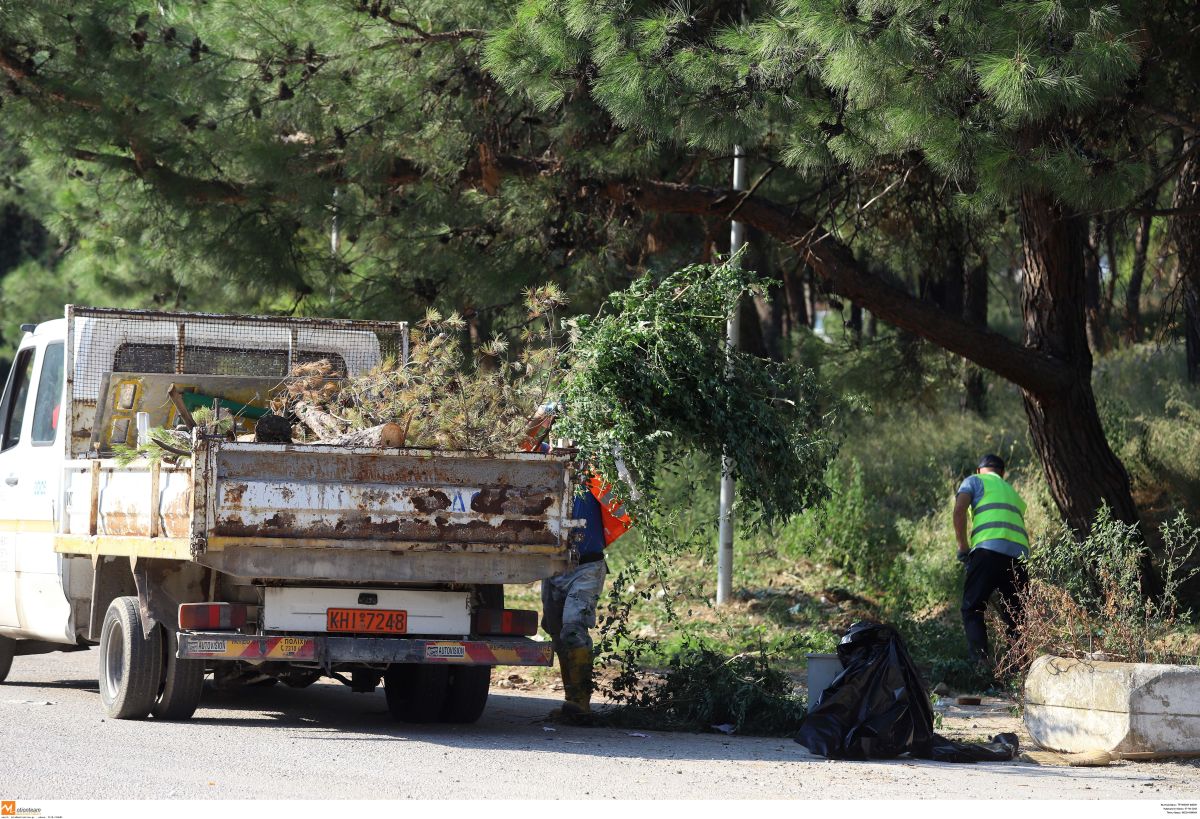 Πύργος - Πρόγραμμα AntiNero II: Έργα από το Δασαρχείο για την πρόληψη ...