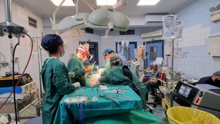 22ο Πανελλήνιο Συνέδριο Μεταμοσχεύσεων: Η εφαρμογή της τεχνητής ...