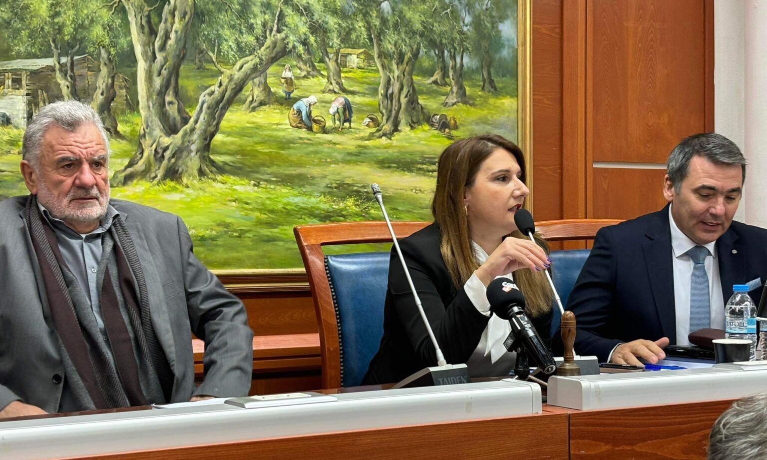 Η Ολ. Καρδακάρη πρόεδρος του Περιφερειακού Συμβουλίου Ιονίων Νήσων - Τα ...