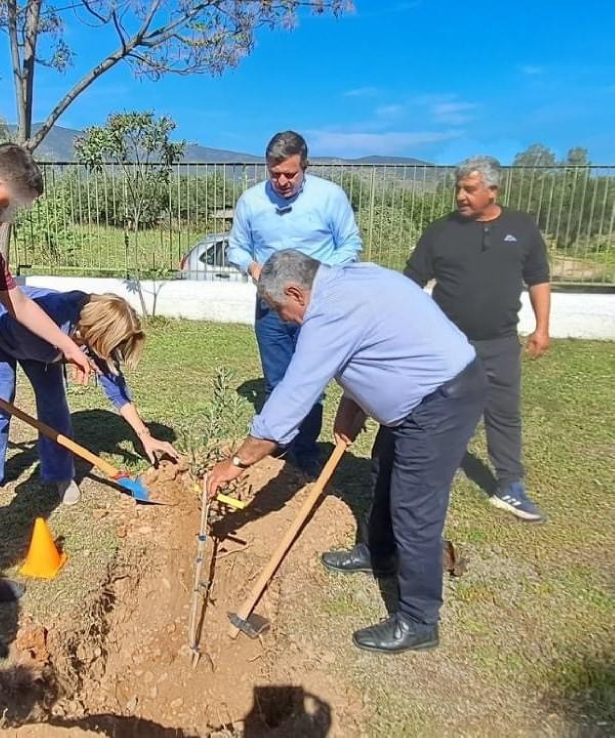 Δενδροφύτευση στο Γυμνάσιο του Αγίου Ανδρέα της Κυνουρίας - ertnews.gr