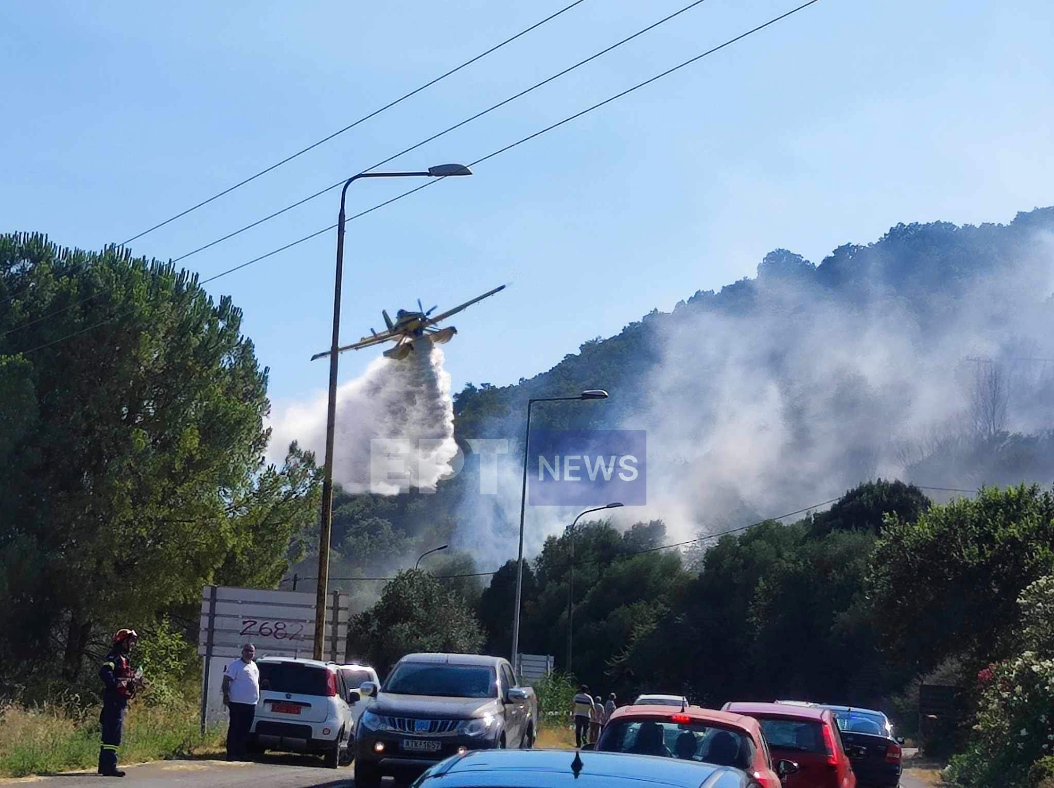 Πρέβεζα: Υπό μερικό έλεγχο η πυρκαγιά στην Γέφυρα Καλογήρου - Μήνυμα ...