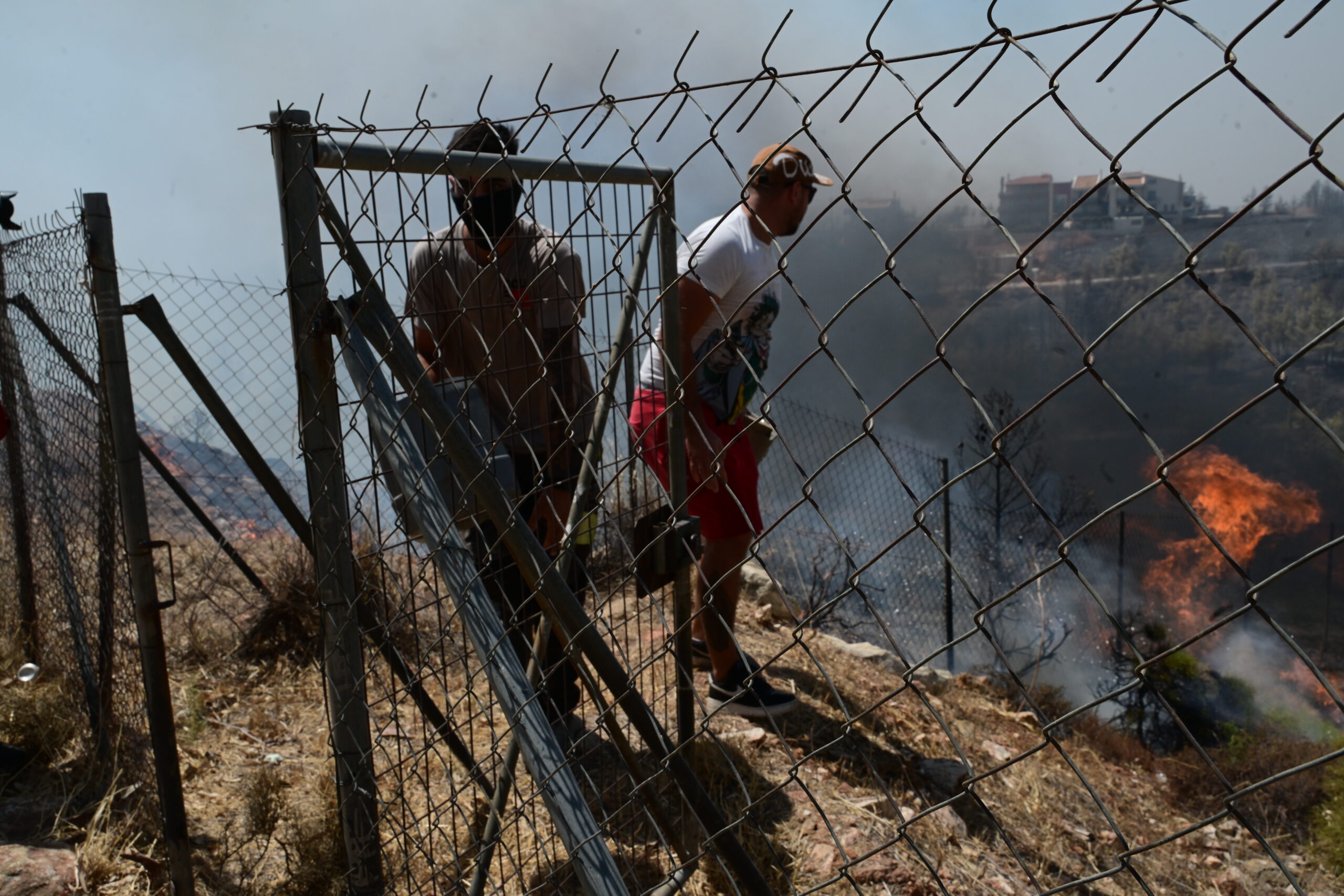 Συγκέντρωση τροφίμων και Υγειονομικού υλικού από τον Ελληνικό Ερυθρό ...
