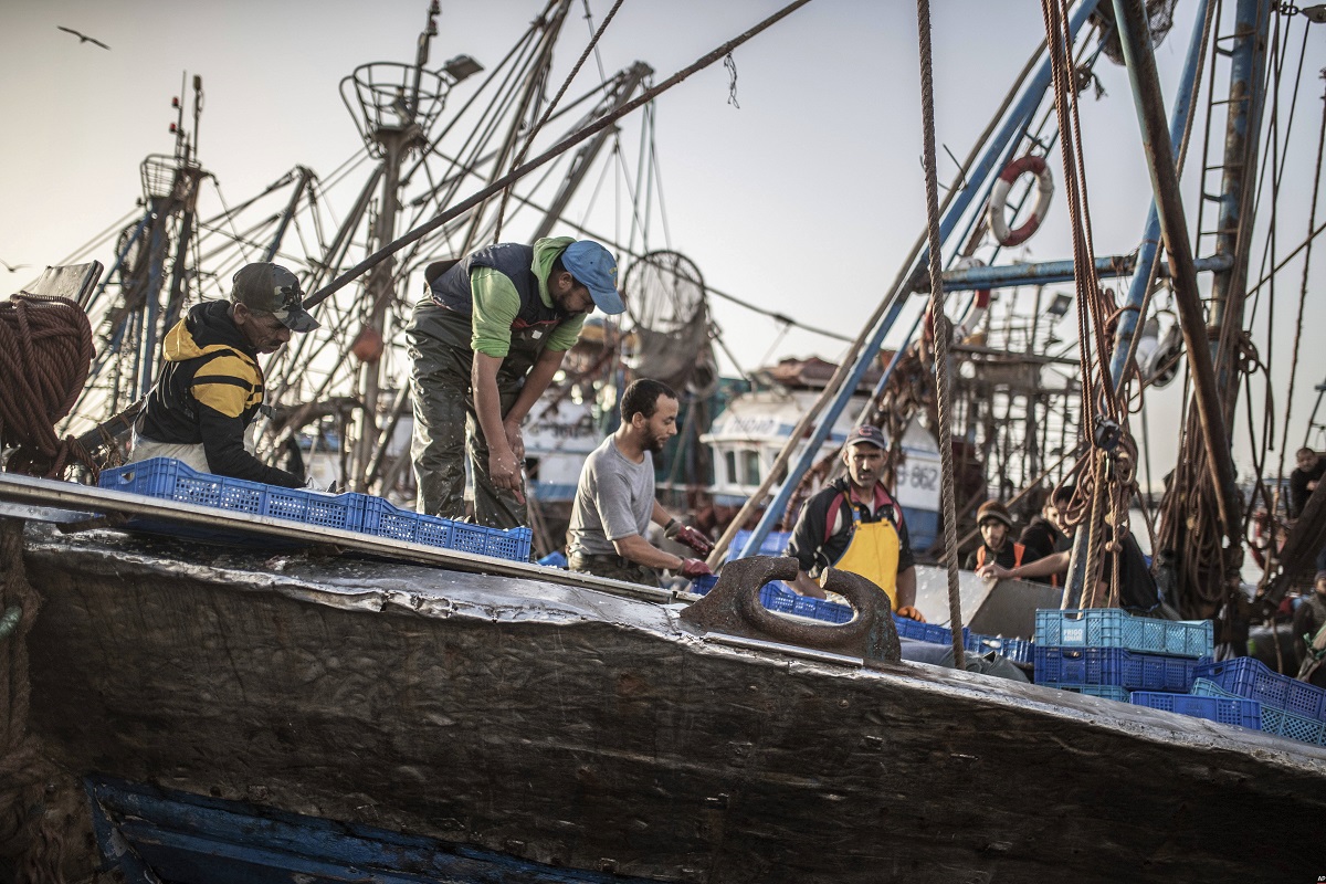 Μαρόκο: Στα 3,10 δισ. δολάρια ανέρχονται τα έσοδα από εξαγωγές ψαριών ...