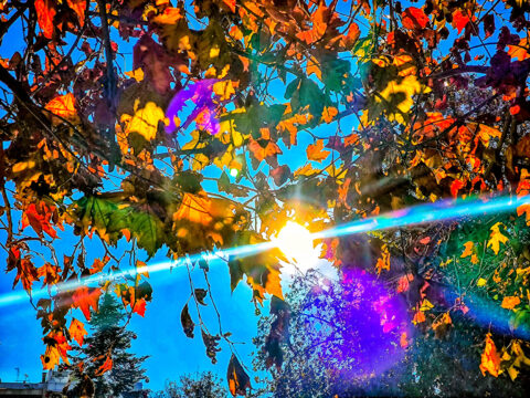 Νέα μελέτη συνδέει τον σίδηρο που βρίσκεται στο κόκκινο κρέας με αυξημένο κίνδυνο εμφάνισης ...