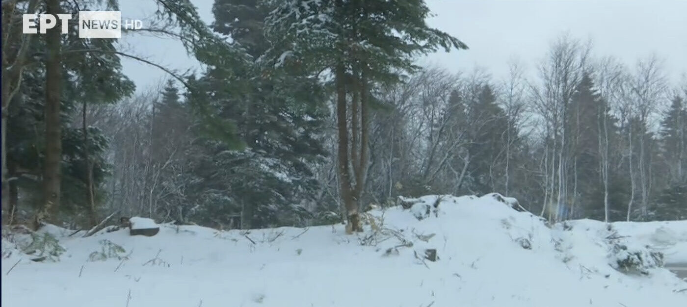 Χειμωνιάτικο το σκηνικό του καιρού - Χιονοπτώσεις στα ορεινά της Εύβοιας, πώς θα κινηθεί τις ...