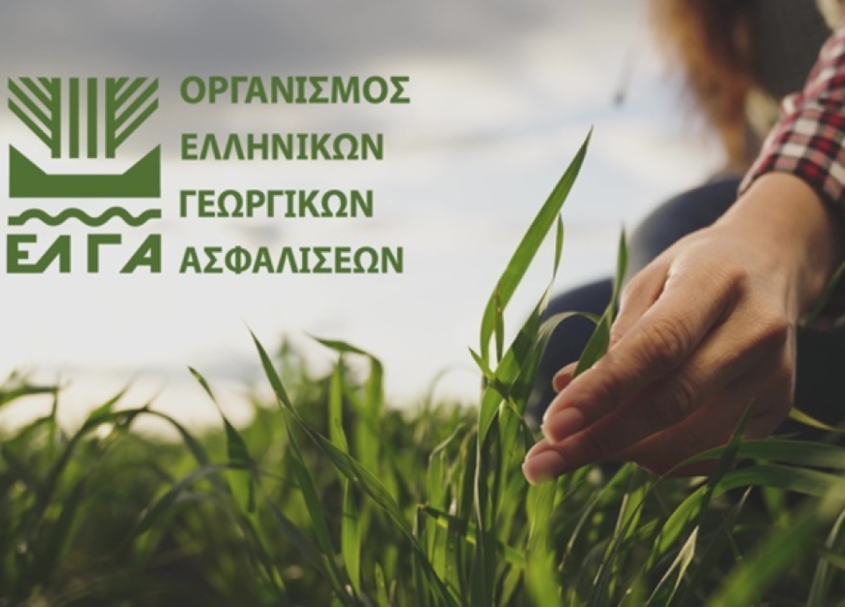 Να προχωρήσει ο ΕΛΓΑ Τρίπολης τις αναγγελίες για τις ζημιές στις ...