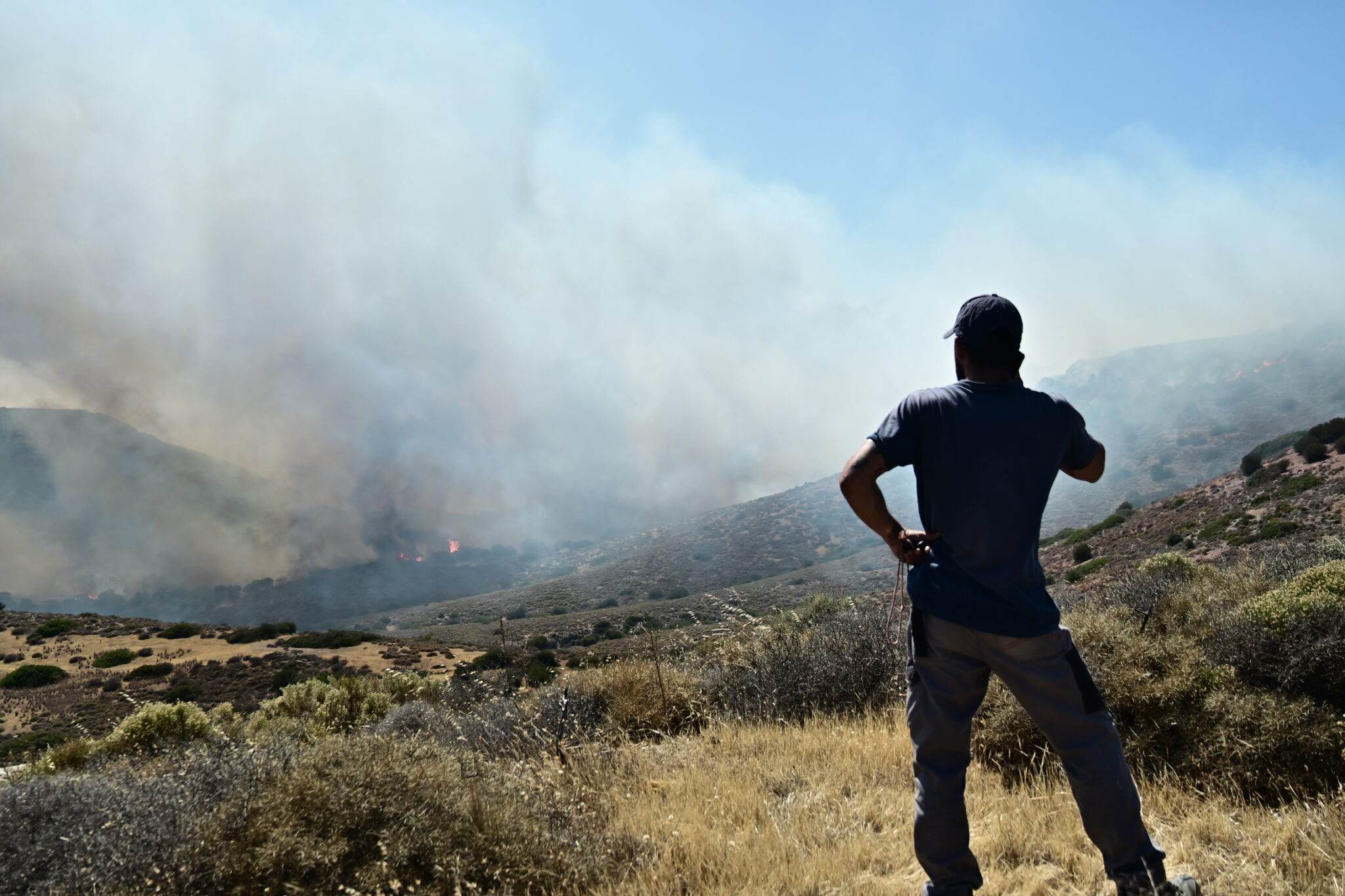 Φωτιά τώρα - Live: Βελτιωμένη η εικόνα της πυρκαγιάς στην Π. Φώκαια ...