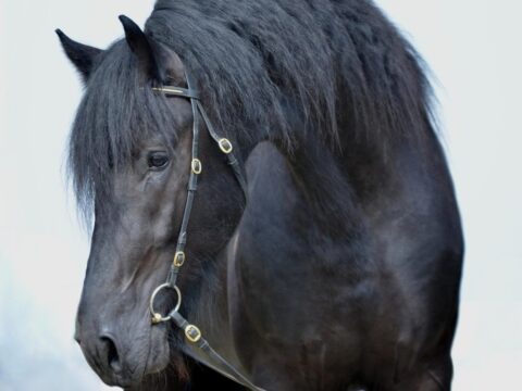 Καρδίτσα: Αθώοι οι δύο διαδηλωτές της κινητοποίησης ενάντια στις ανεμογεννήτριες στον Τύμπανο ...