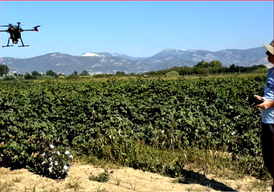 ΕΚΕΤΑ: Βέλτιστες γεωργικές πρακτικές με χρήση της τεχνολογίας στην ...