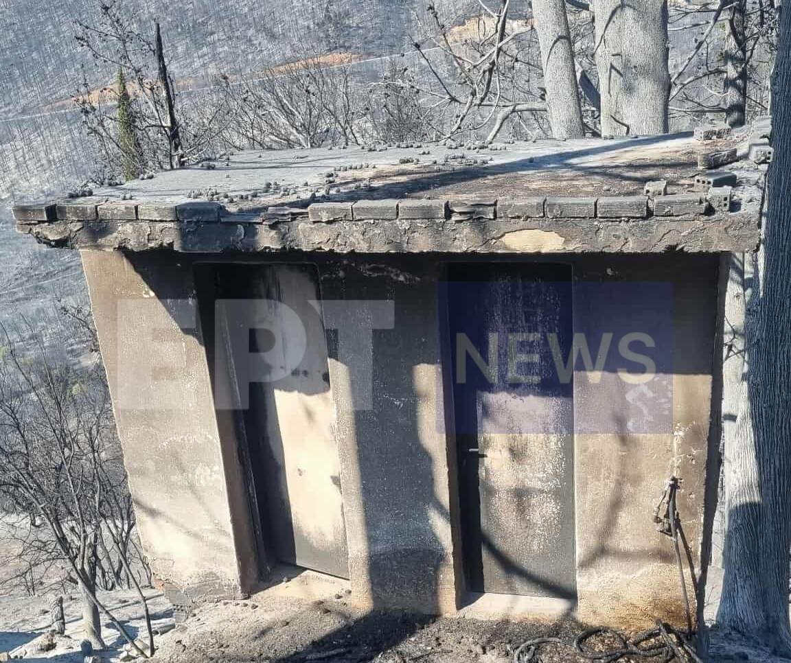 Πυρκαγιά στον Φενεό - Η επόμενη μέρα: Στάχτη χιλιάδες στρέμματα δάσους ...