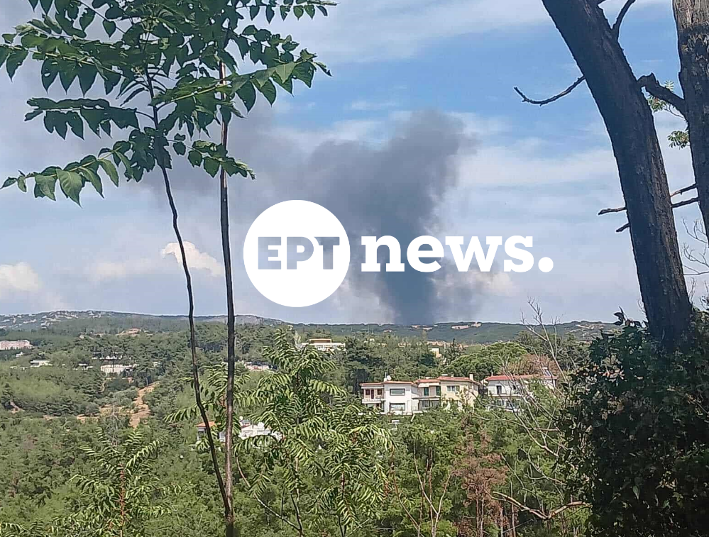 Θεσσαλονίκη: Φωτιά αυτήν την ώρα σε δασική έκταση στην Πυλαία- Ήχησε ...