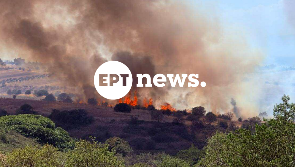 Θεσσαλονίκη: Φωτιά στο Πλαγιάρι- Συνδρομή υδροφόρων και εναέριων μέσων ...
