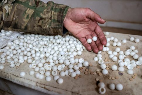 Στην Αθήνα, στις 24, 25, 26 και 27 Σεπτεμβρίου το 51ο Φεστιβάλ ΚΝΕ-Οδηγητή - ertnews.gr