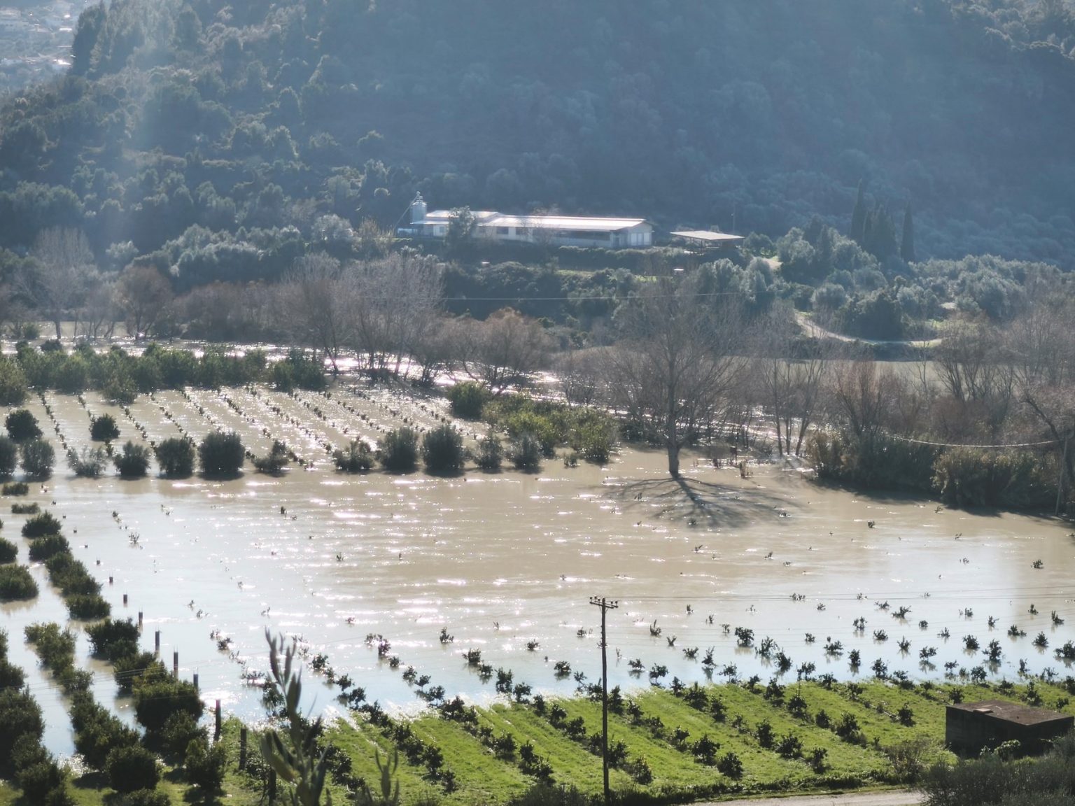 Φράγμα Ράγιο Θεσπρωτίας: Ζημιές σε καλλιέργειες - Κορμοί δέντρων ...