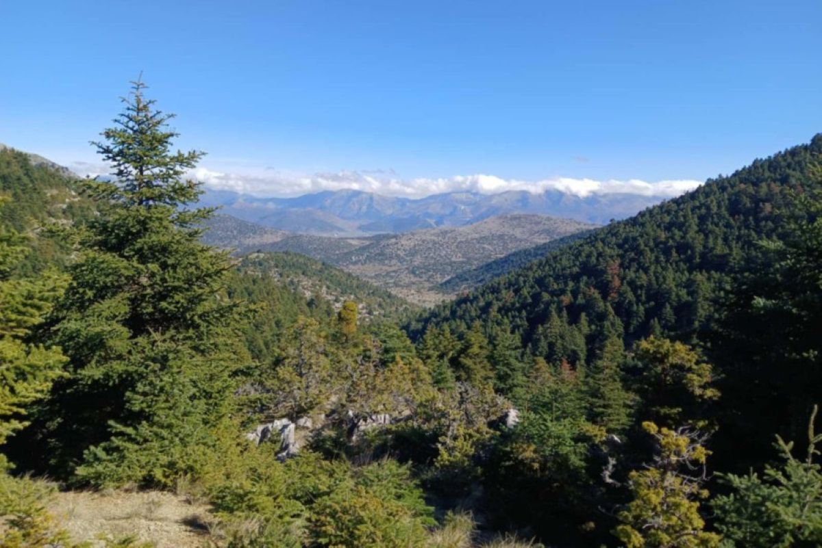 Πεζοπορική διαδρομή του Ε.Ο.Σ. Τρίπολης στο χειμωνιάτικο Μαίναλο ...