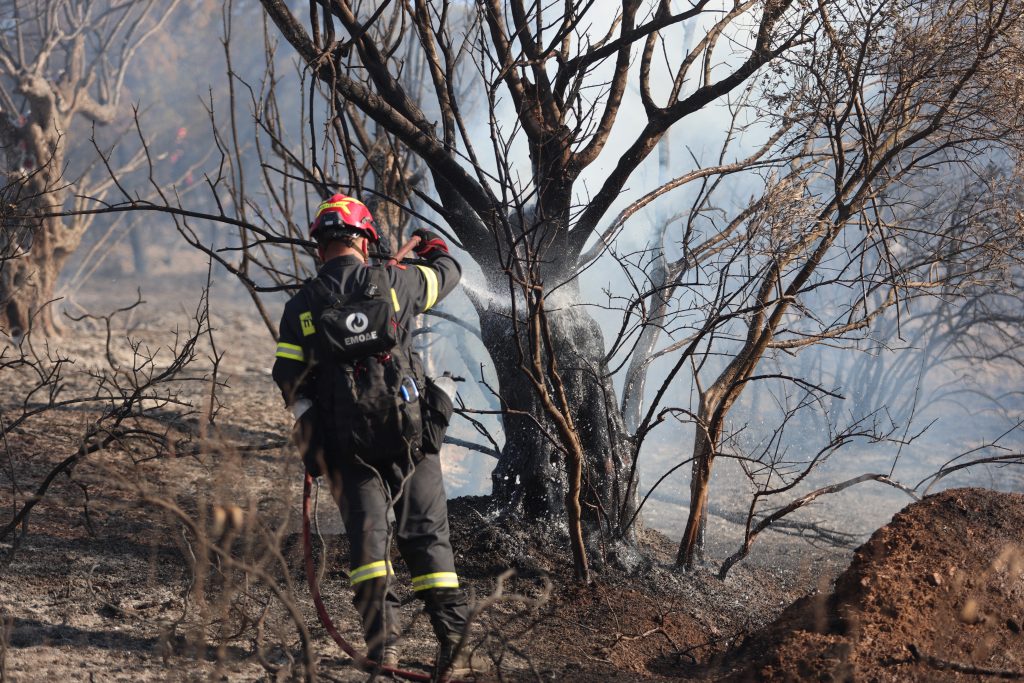 Καμπανάκι για τη νέα αντιπυρική περίοδο: Το WWF ζητά να περάσει η χώρα ...