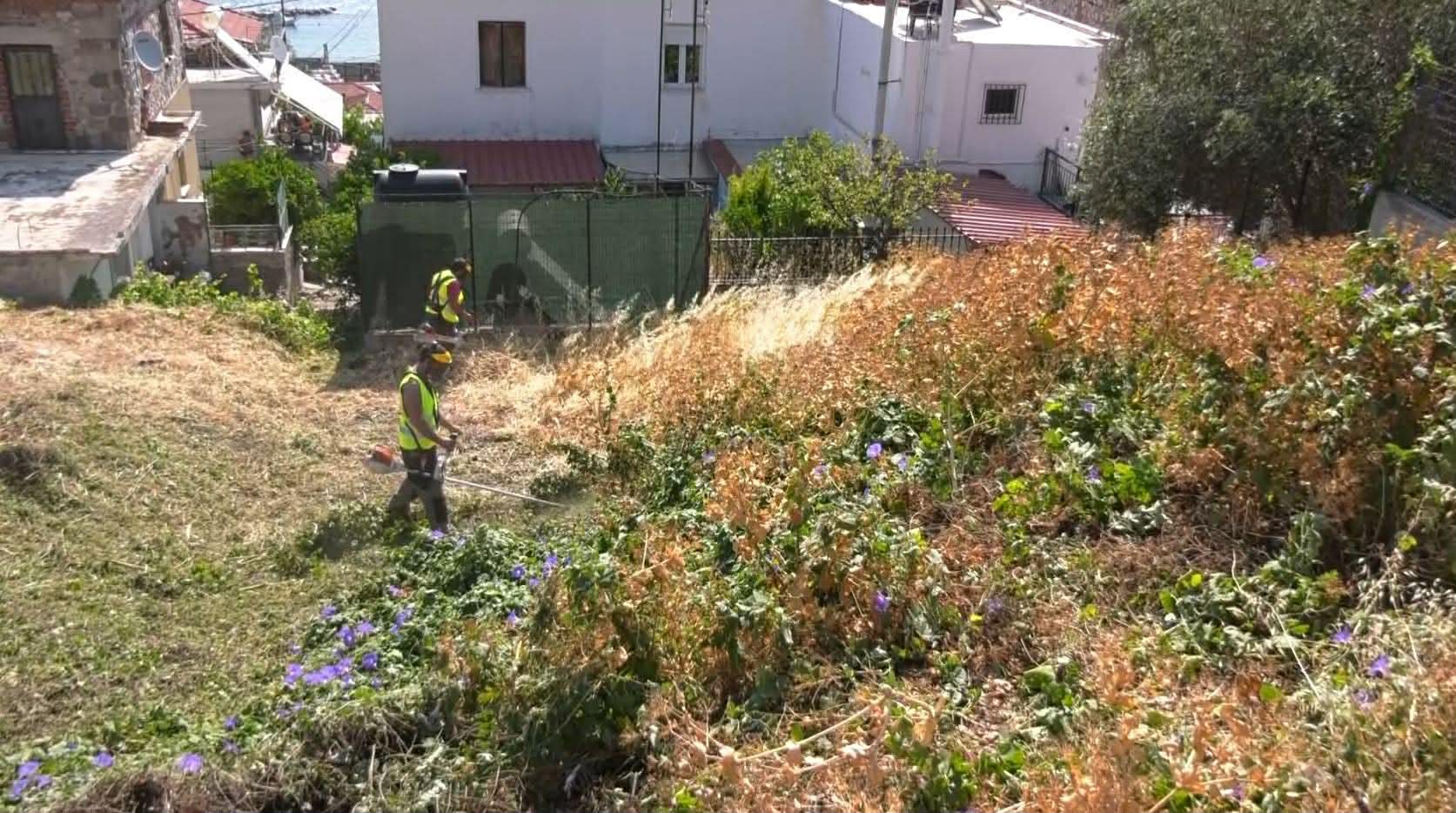 Λέσβος: Ανοιχτή έως τις 15 Ιουνίου η πλατφόρμα για τους καθαρισμούς ...