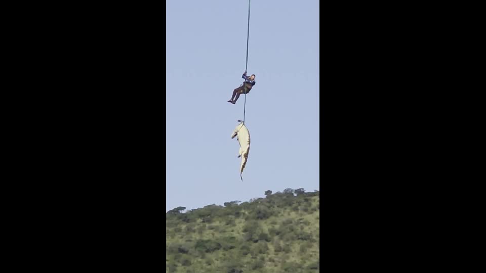 Νότια Αφρική: Κροκόδειλος κατασπάραξε άνδρα - Η ριψοκίνδυνη επιχείρηση ...