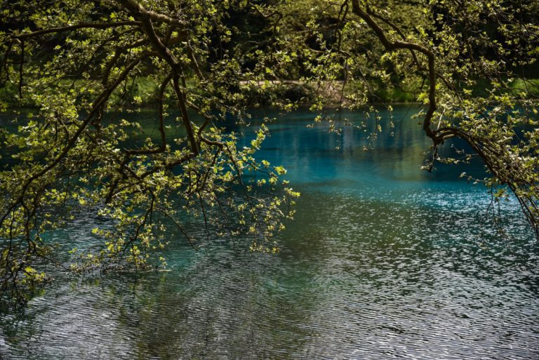 Natura 2000: Εγκρίθηκε νέα Ειδική Περιβαλλοντική Μελέτη για Ήπειρο και ...