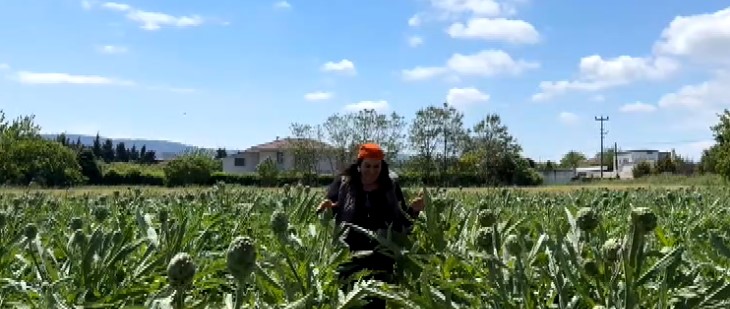 Έλληνες και Τούρκοι στο ίδιο τραπέζι στο Φεστιβάλ Αγκινάρας στα Ούρλα ...